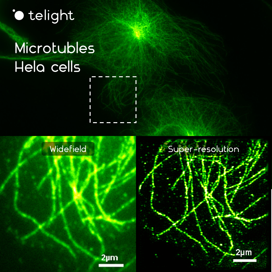 Telight solutions for Virology