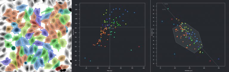 Telight free webinar: Quantitative Phase Imaging for live cells analysis • Telight