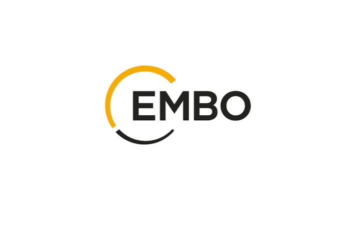 Super-resolution in light microscopy (Sep 20-22, online) • Telight